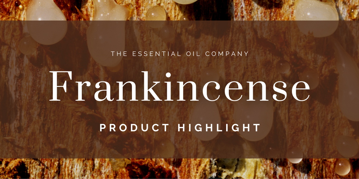 Frankincense: Product Highlight — The Essential Oil Company
