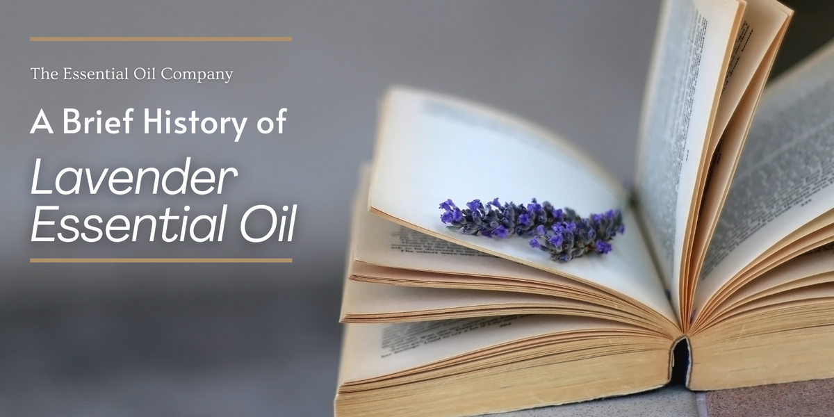 A Brief History of Lavender Essential Oil — The Essential Oil Company