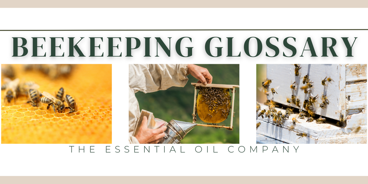 Beekeeping Glossary — The Essential Oil Company
