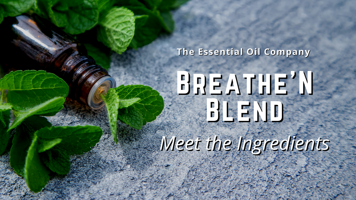 Breathe'N: Meet the Ingredients — The Essential Oil Company