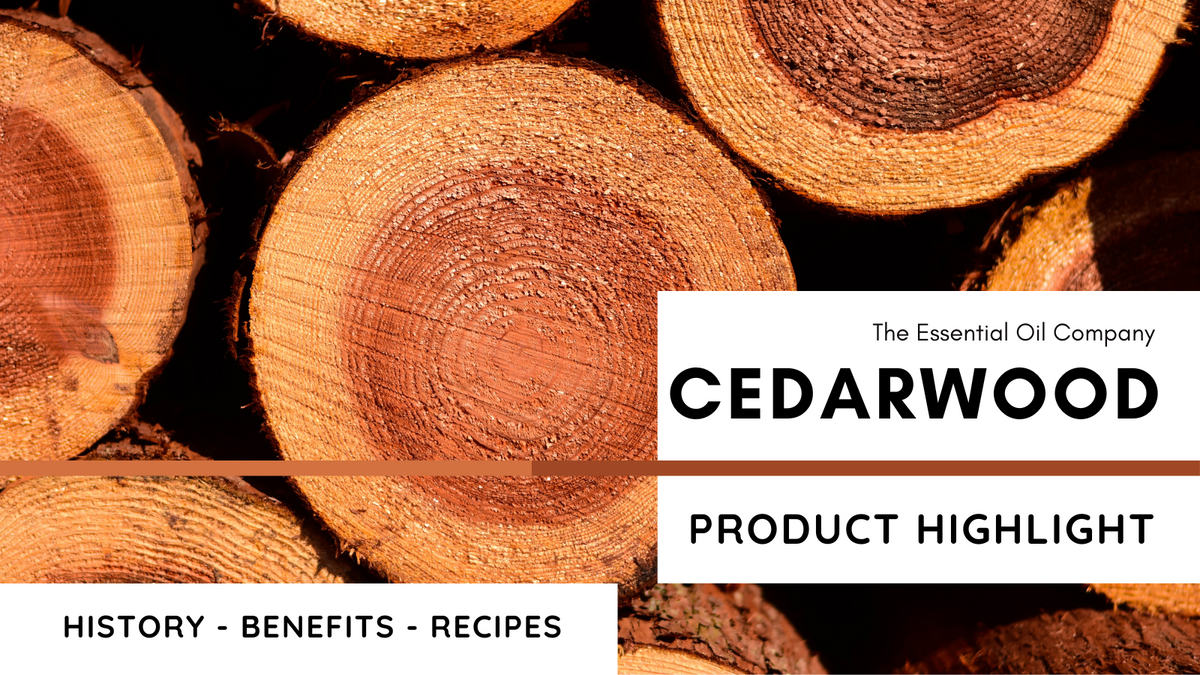 Cedarwood: Product Highlight — The Essential Oil Company