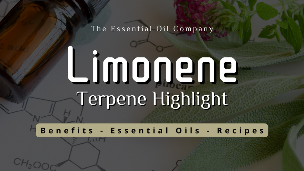 Limonene: Terpene Highlight – The Essential Oil Company