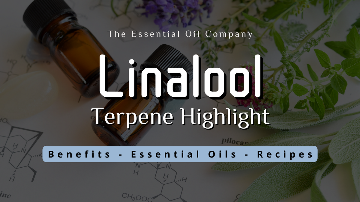 Linalool: Terpene Highlight — The Essential Oil Company