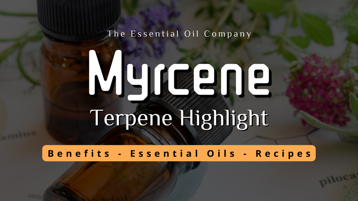 Myrcene: Terpene Highlight — The Essential Oil Company