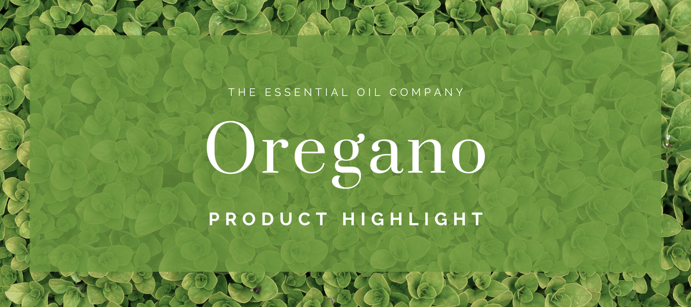 Oregano: Product Highlight — The Essential Oil Company