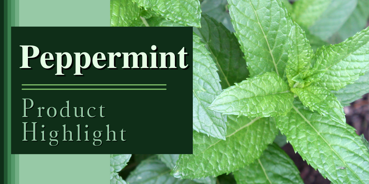 Peppermint: Product Highlight — The Essential Oil Company