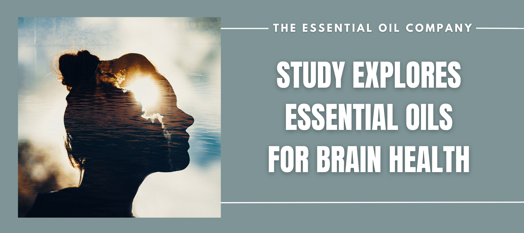 Study Explores Essential Oils for Brain Health – The Essential Oil Company