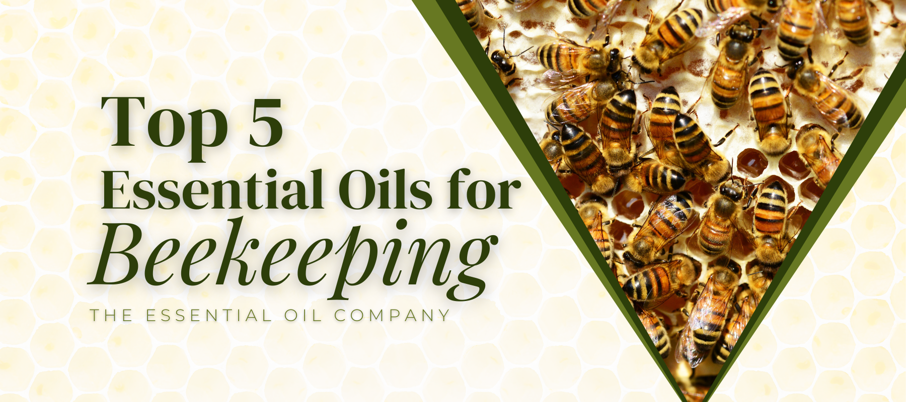 Top 5 Essential Oils for Beekeeping – The Essential Oil Company