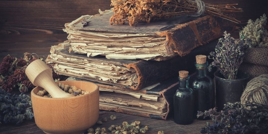 How to Make Essential Oils – The Essential Oil Company