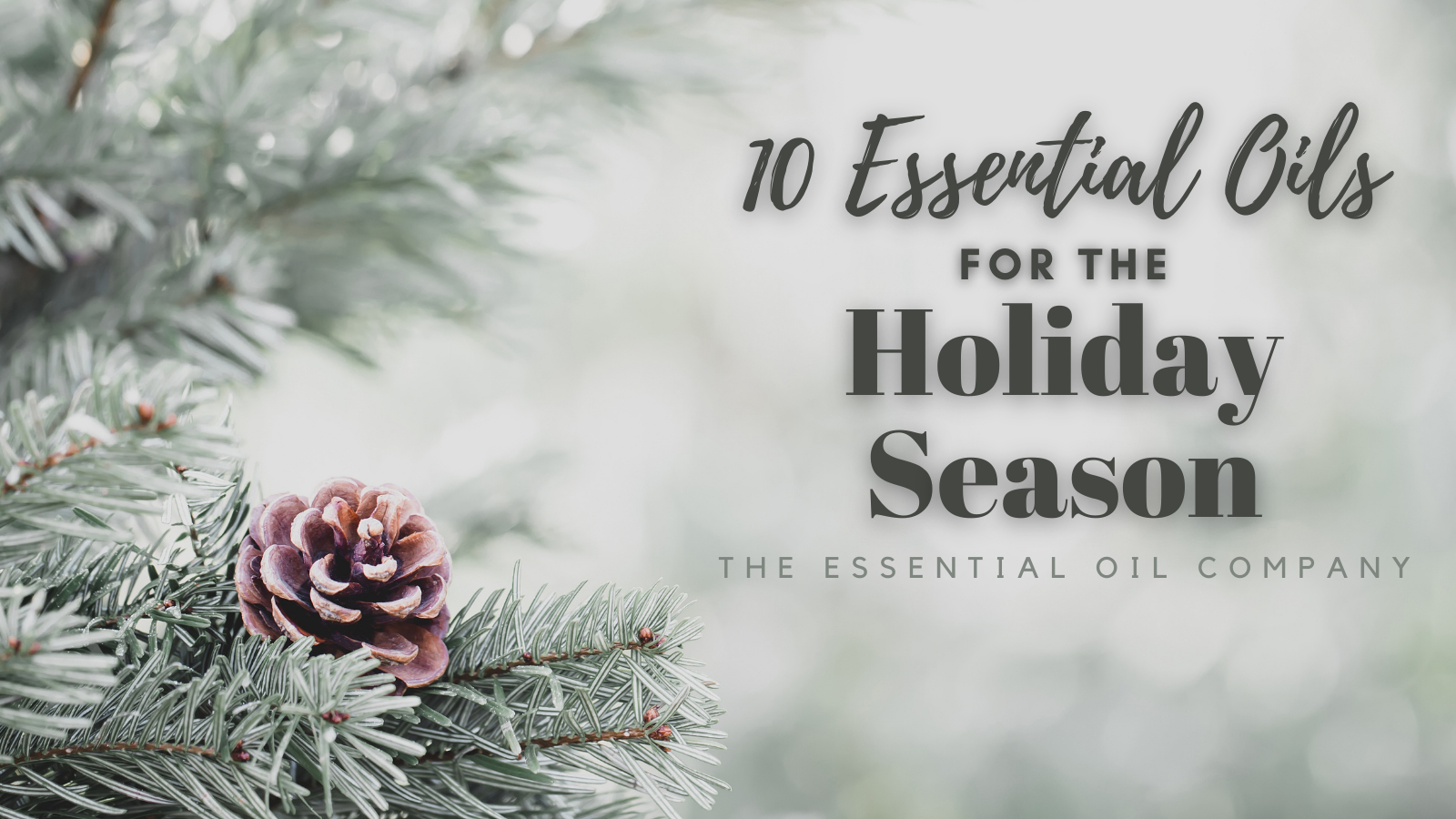 10 Essential Oil for the Holiday Season – The Essential Oil Company
