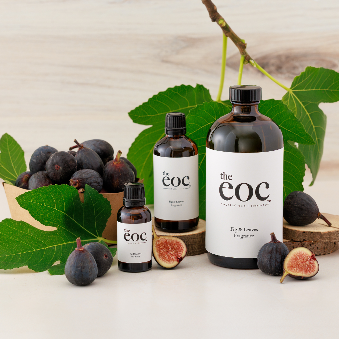 Fig & Leaves Fragrance Oil — The Essential Oil Company