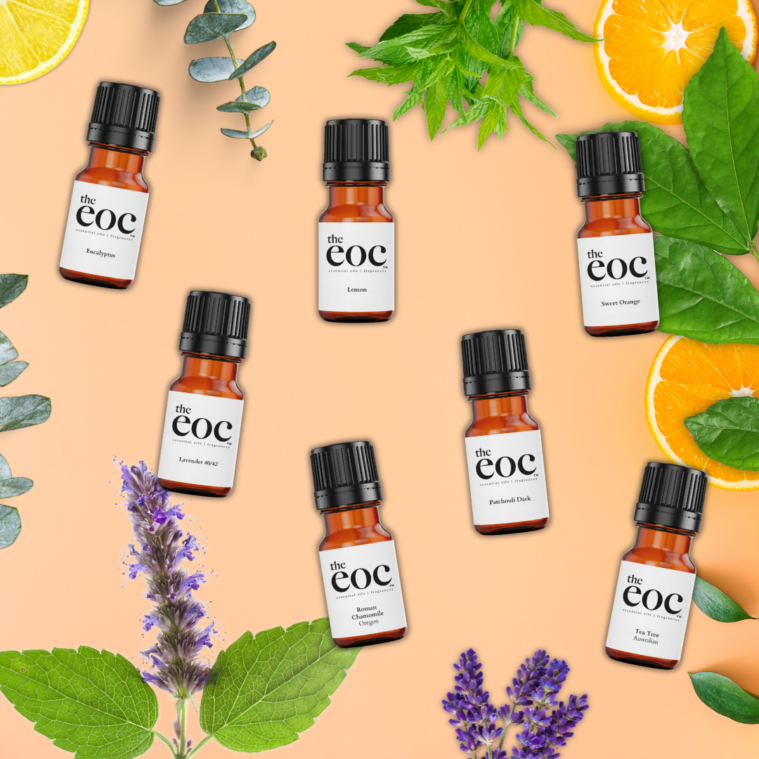 Best Sellers Essential Oil Set – The Essential Oil Company